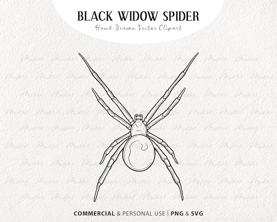 Black Widow Spider Outline