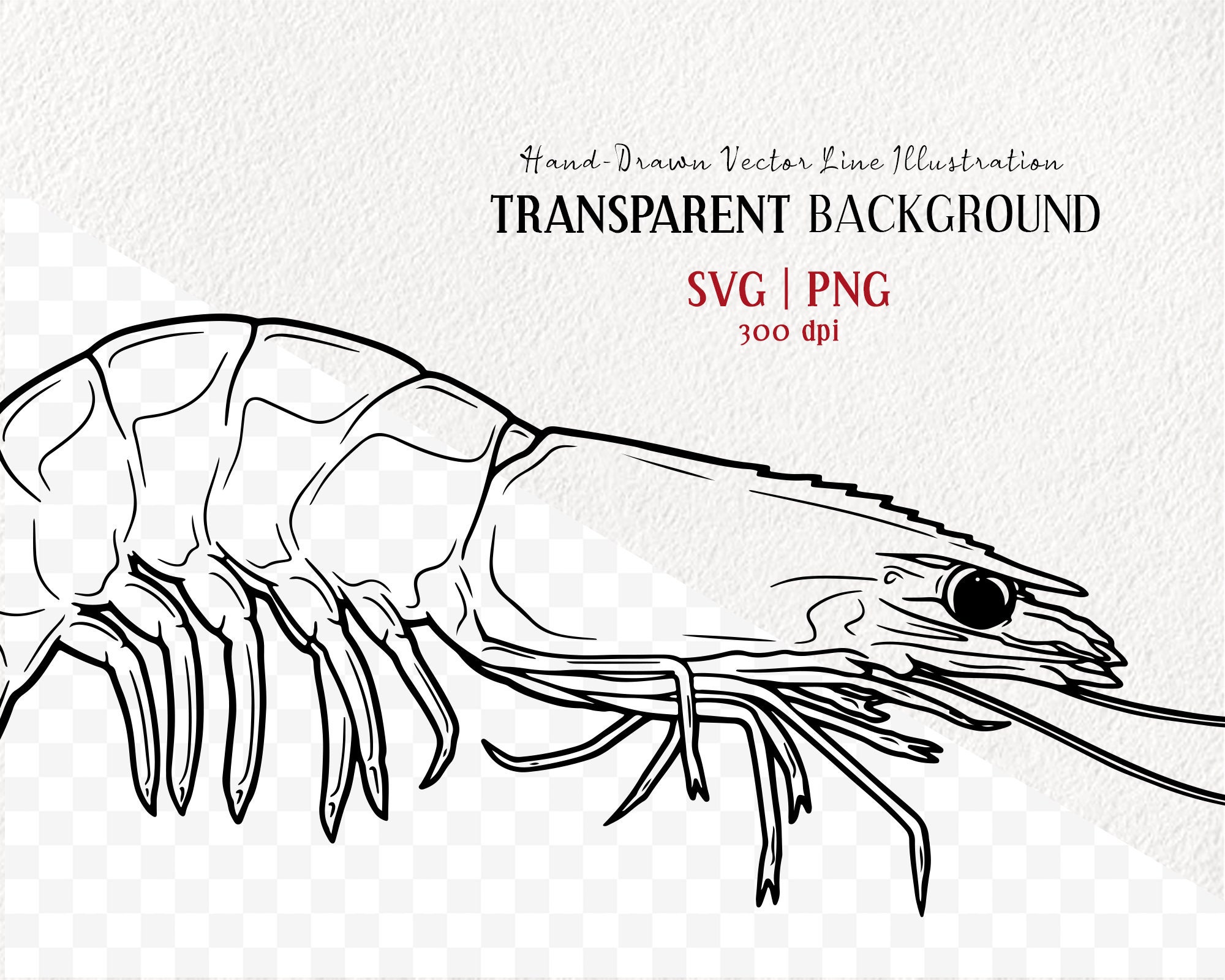Prawn SVG Clipart. Crab Svg Art. Ocean Animal Prawn Vector Line ...