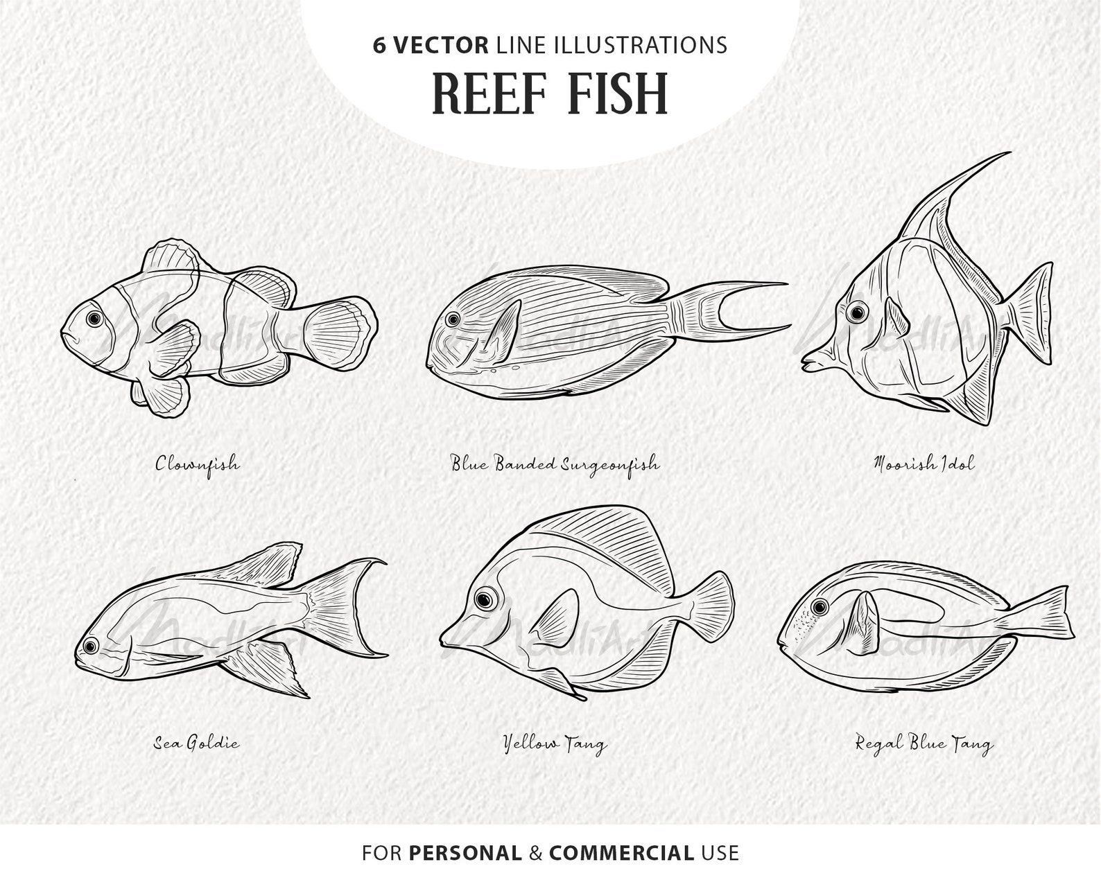 Coral Reef Fish Clipart Bundle. Ocean Vector Artwork Set. - Etsy