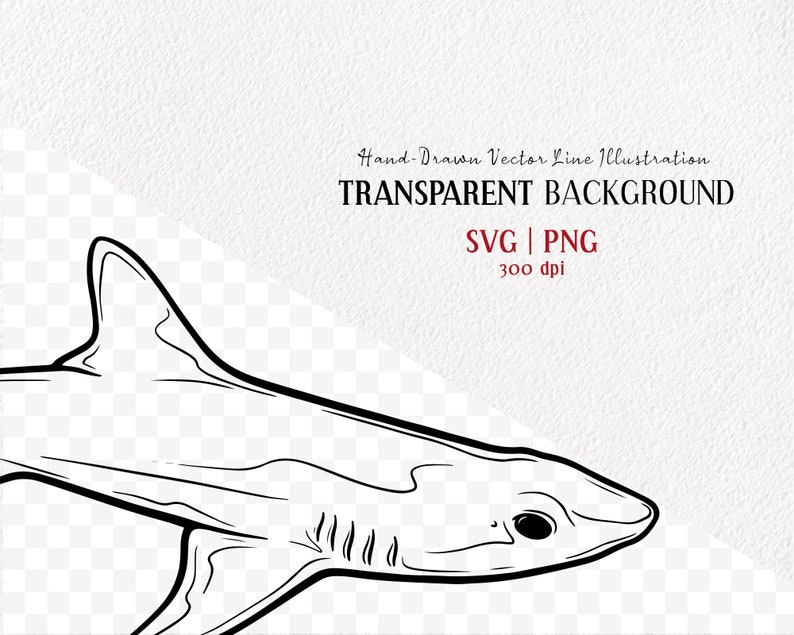 Smooth-hound Shark SVG Clipart. Shark Vector Line Drawing. Ocean Animal ...