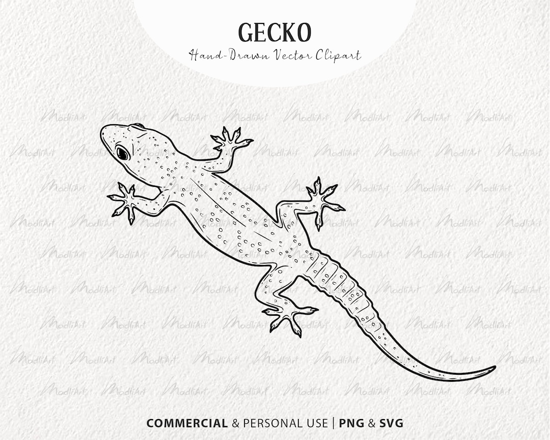Gecko SVG Clipart. Lizard Vector Drawing. Leopard Gecko, Crested Gecko ...