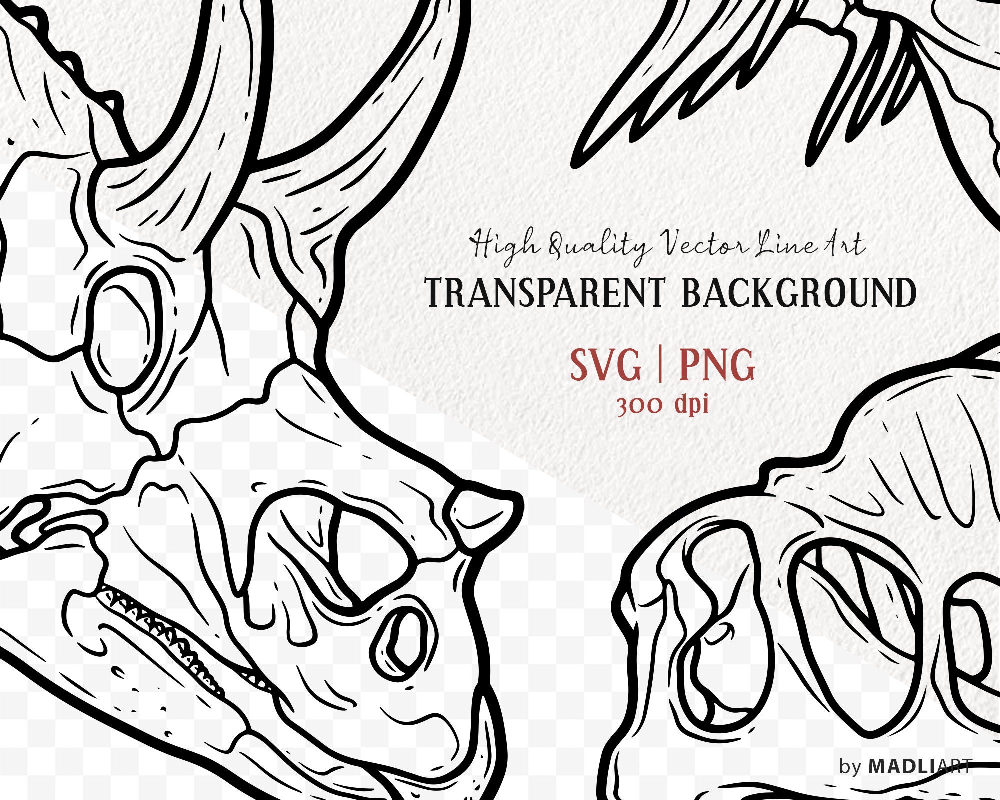 3 Dinosaur Skull SVG Clipart Set. Dilophosaurus, T-rex, Triceratops ...