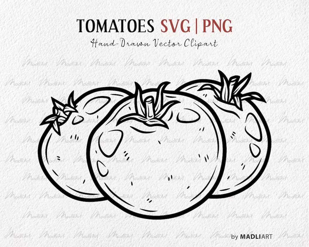 Tomato SVG Clipart. Tomato Vector Line Drawing. Tomato Vegetable ...