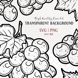 Grape SVG Clipart Bundle. 8 Grapes Vector Line Art. Grape Bundle Illustration. Grape Plant ...