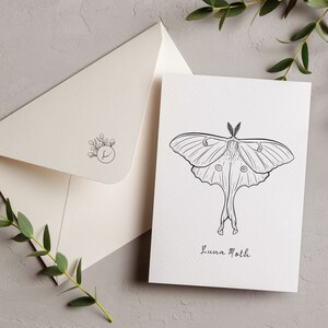 Hercules Moth SVG Clip Art. Hand Drawn Butterfly Vector Line Drawing ...