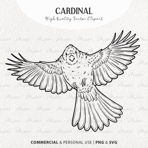 Cardinal Vector Clipart Bundle. Little Red Birds. Flying Birds Outline ...