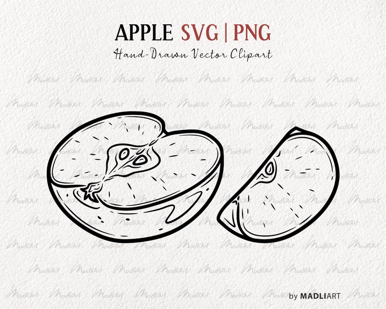 Cut Apple SVG Clipart Set. Apple Vector Line Art. Autumn Apple Fruit ...