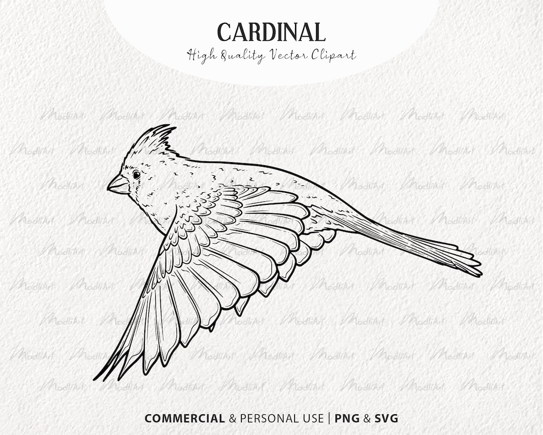 Cardinal Vector Clipart Bundle. Little Red Birds. Flying Birds Outline ...
