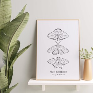 Luna Moth SVG Clip Art. Insect Vector Line Drawing. Night Butterfly ...