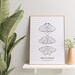 Luna Moth SVG Clip Art. Insect Vector Line Drawing. Night Butterfly ...