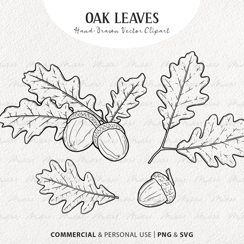 Acorn Oak Leaves - Etsy