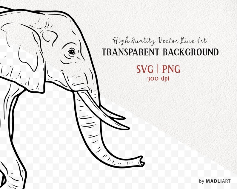 Elephant SVG Clipart. Elephant Vector Drawing. Safari Animal - Etsy