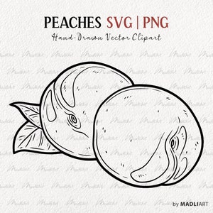 Peach SVG Clipart. Vector Peach Drawing. Peach Fruit, Leaves Line ...