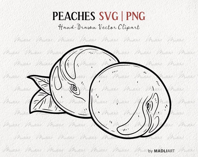 Peach Vector Clipart / Outline & Stamp Drawing Graphic / Fruit and Food ...