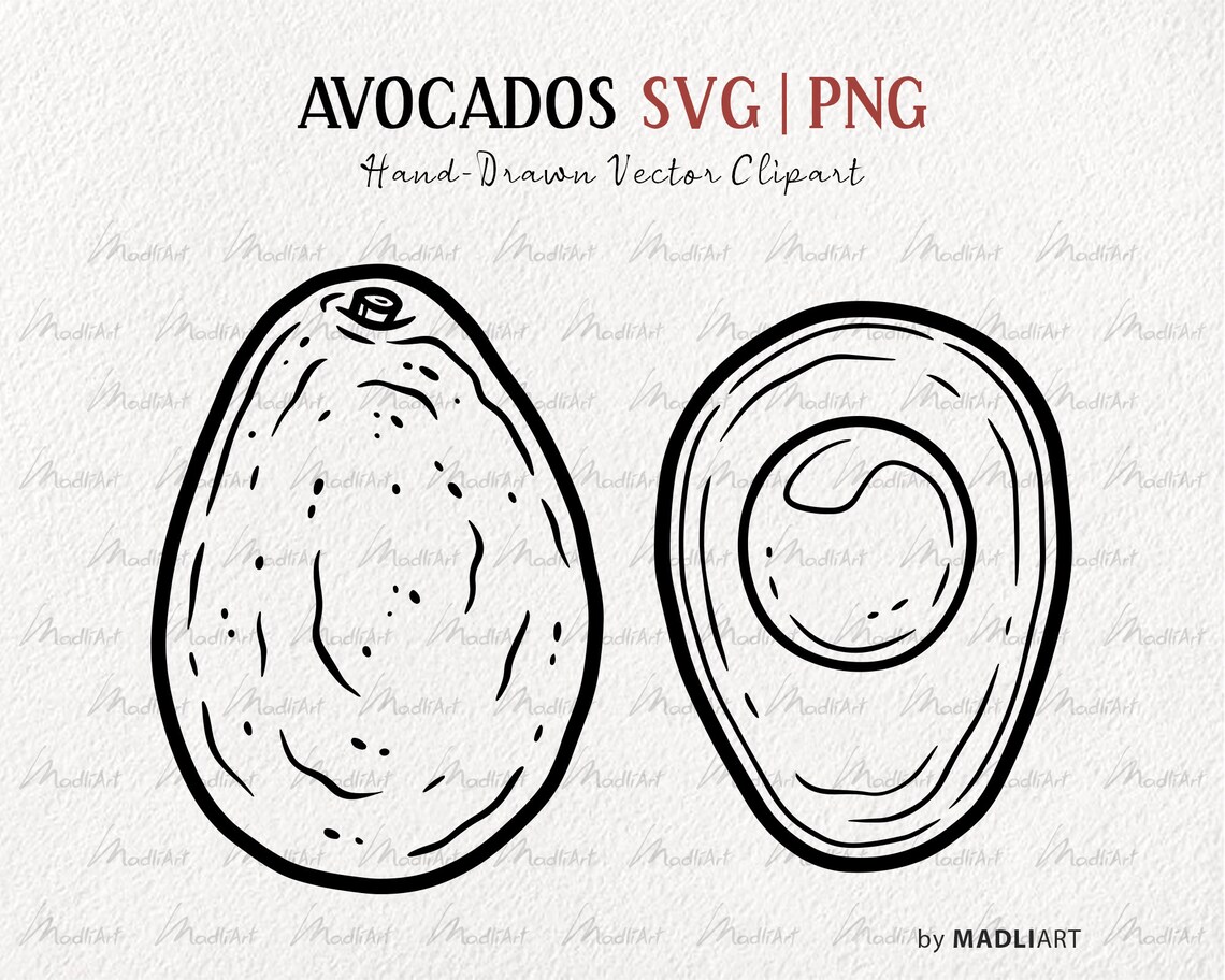 Avocado SVG Clipart Set. Avocado Vector Drawing. Avocado Plant Fruit ...
