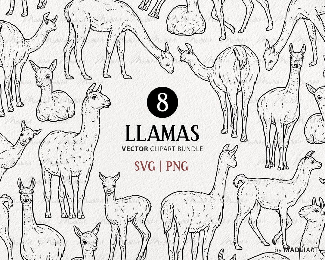 Llama SVG Clipart Bundle. Alpaca SVG Line Drawing. Llama Vector Drawing ...