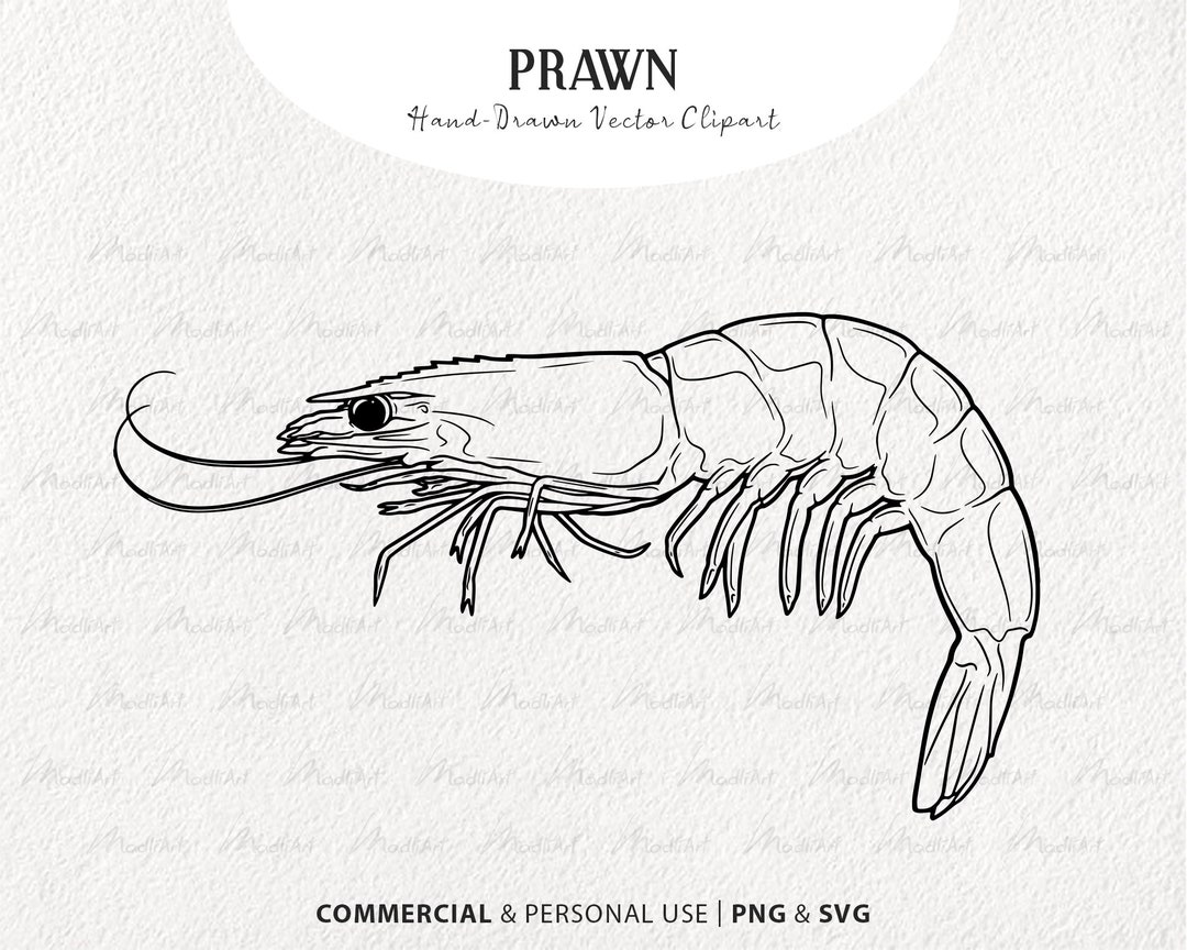 Prawn SVG Clipart. Crab Svg Art. Ocean Animal Prawn Vector Line ...