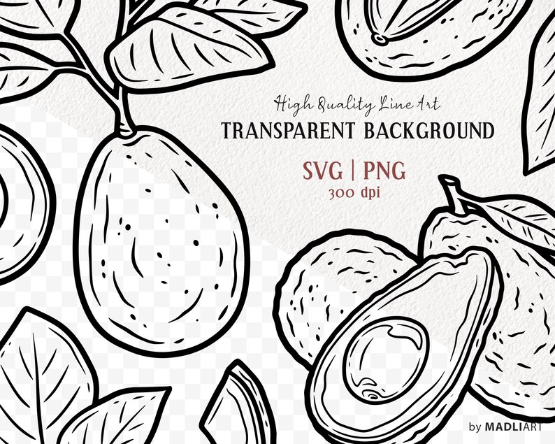 Paquete de imágenes prediseñadas SVG de aguacate. 11 dibujos ...