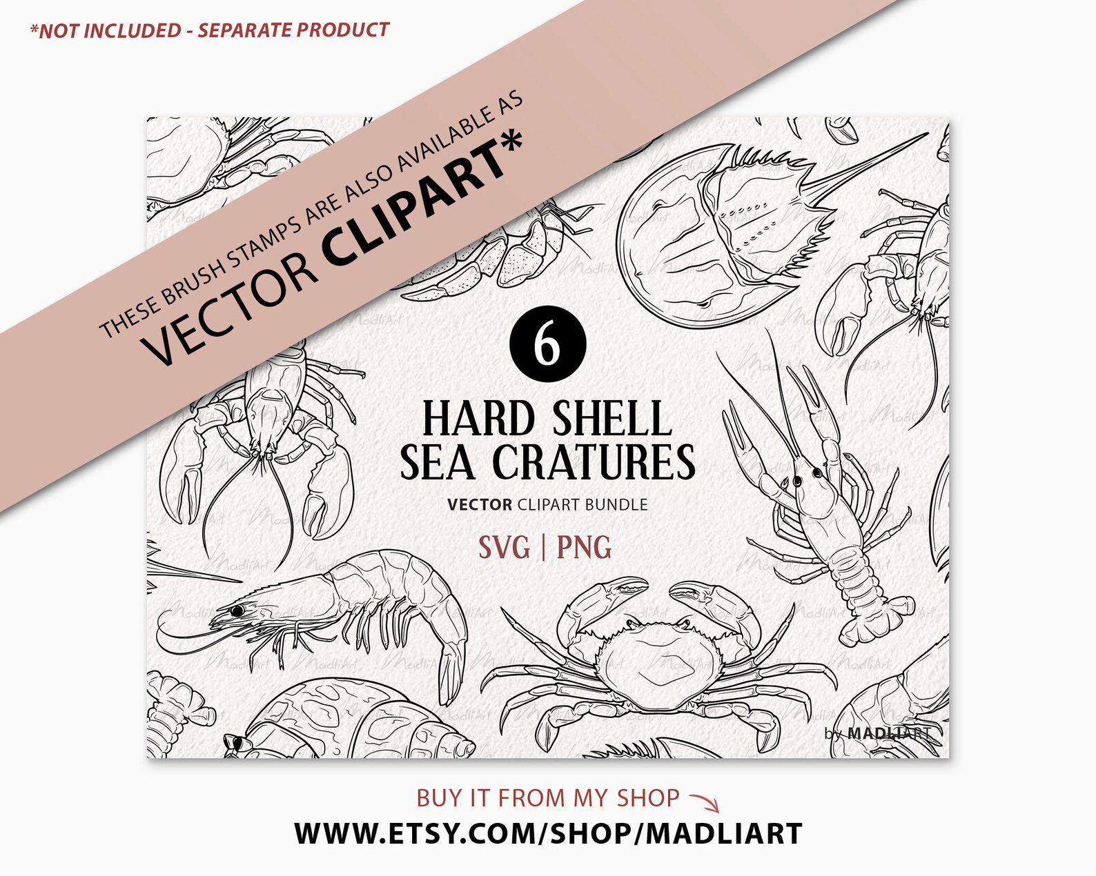6 Procreate Hard Shell Sea Creature Stamps. Marine Animal Tattoo Design ...