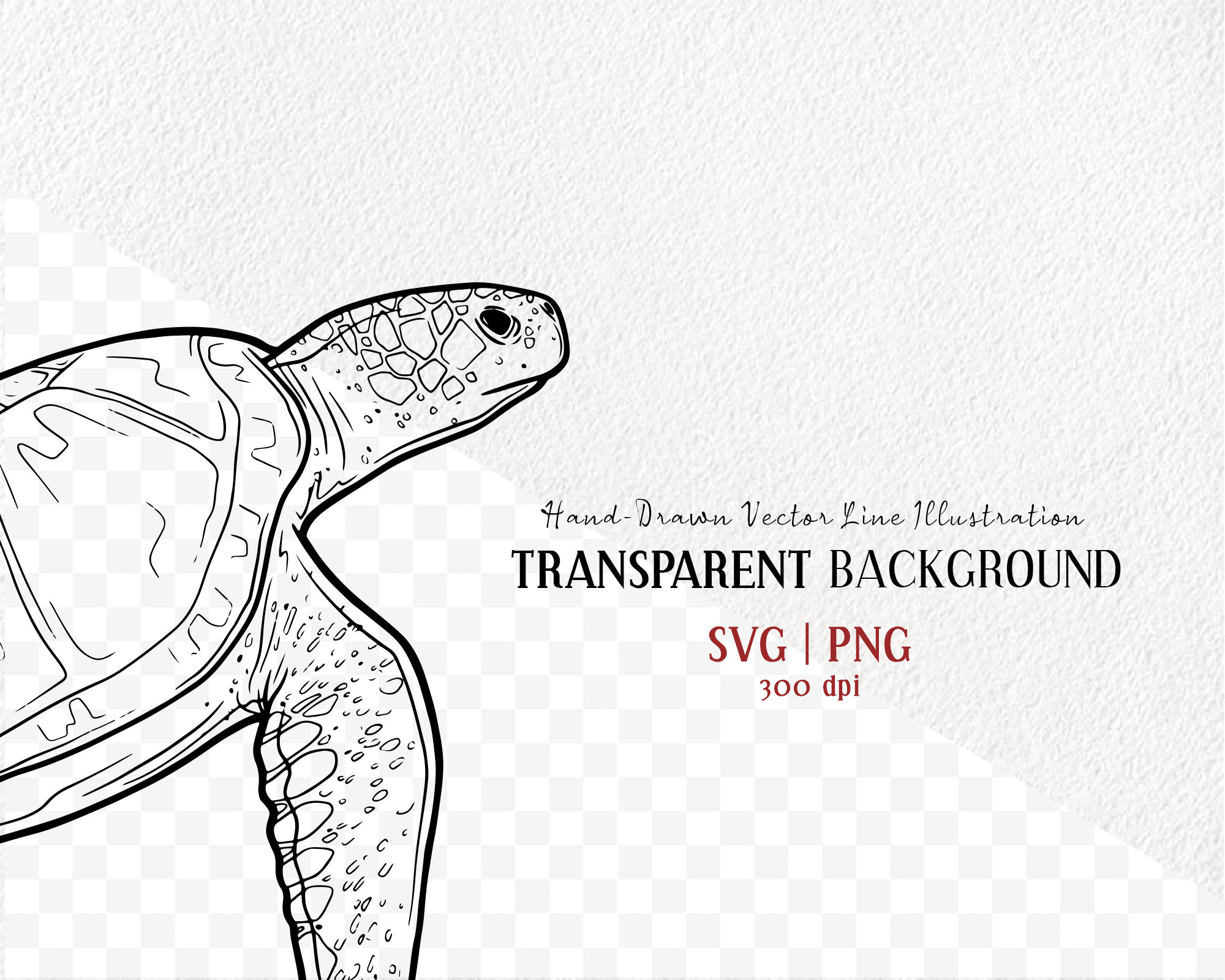 Flatback Sea Turtle Vector Clip Art. Sea Animal Artwork. Minimalistic ...