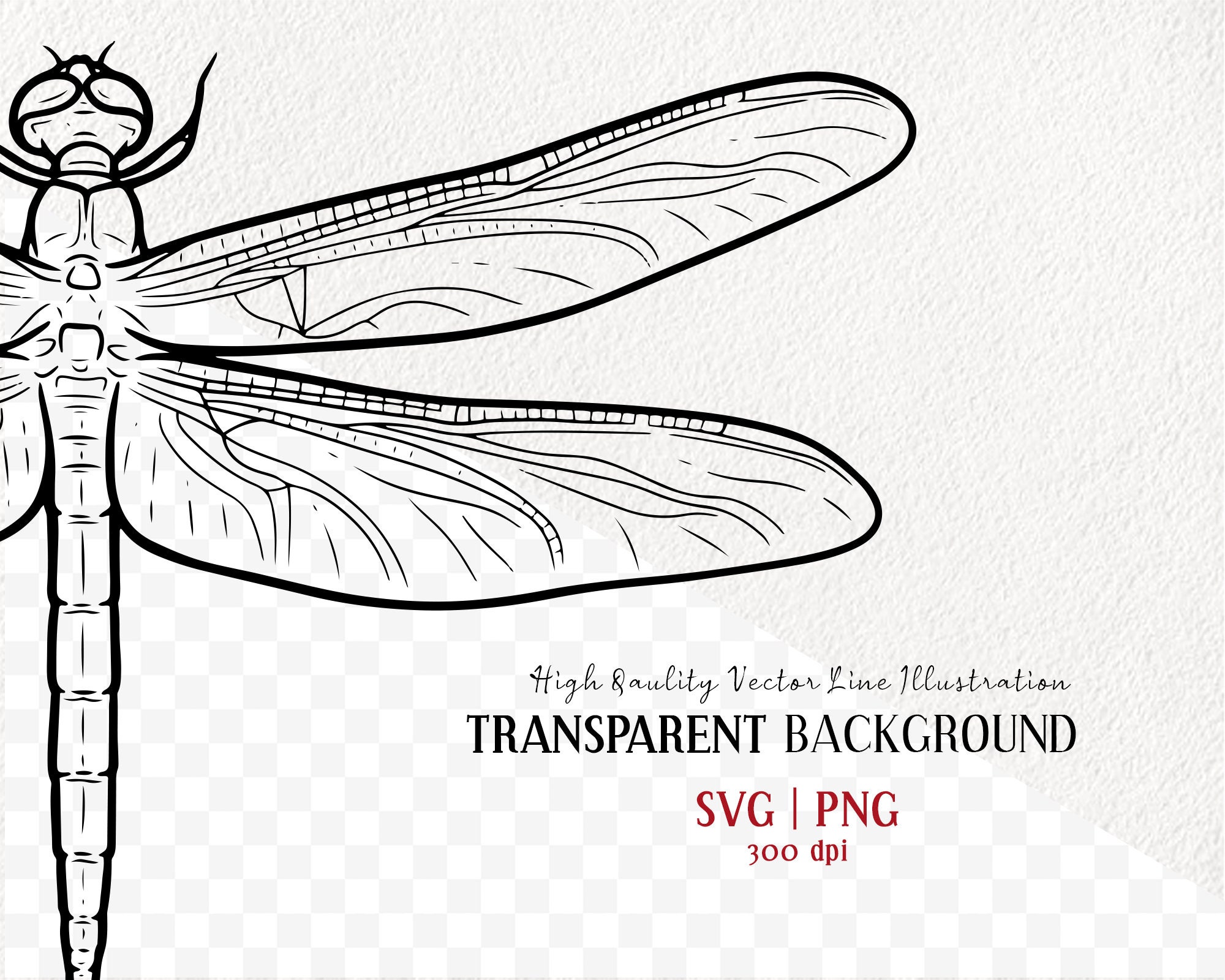 Cute Dragonfly Outline