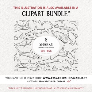 Tiger Shark Vector Clipart. Hand-drawn Shark Line Drawing. Ocean ...