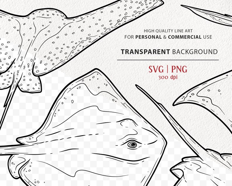 Ray Fish Clipart Bundle. Sea Creature Vector Line Art. Ocean - Etsy