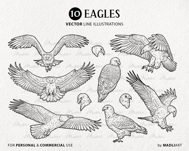 10 Eagle SVG Clipart Bundle. Bald Eagle Vector Line Drawings. Eagle ...