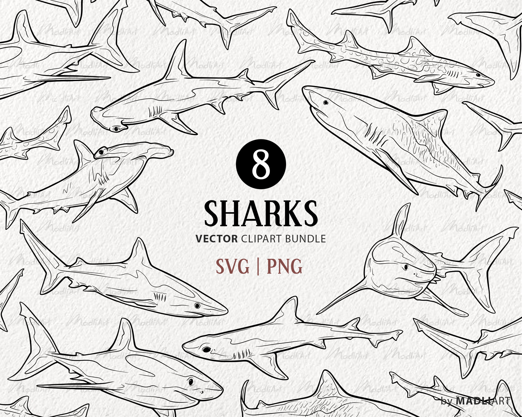 Great White Shark Line Drawing