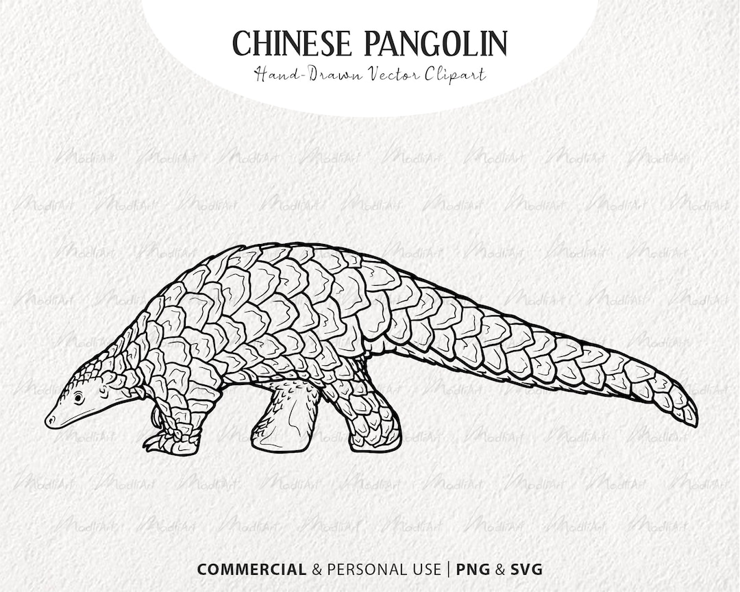 Chinese Pangolin Vector Clipart. Endangered Pangolin SVG Drawing ...