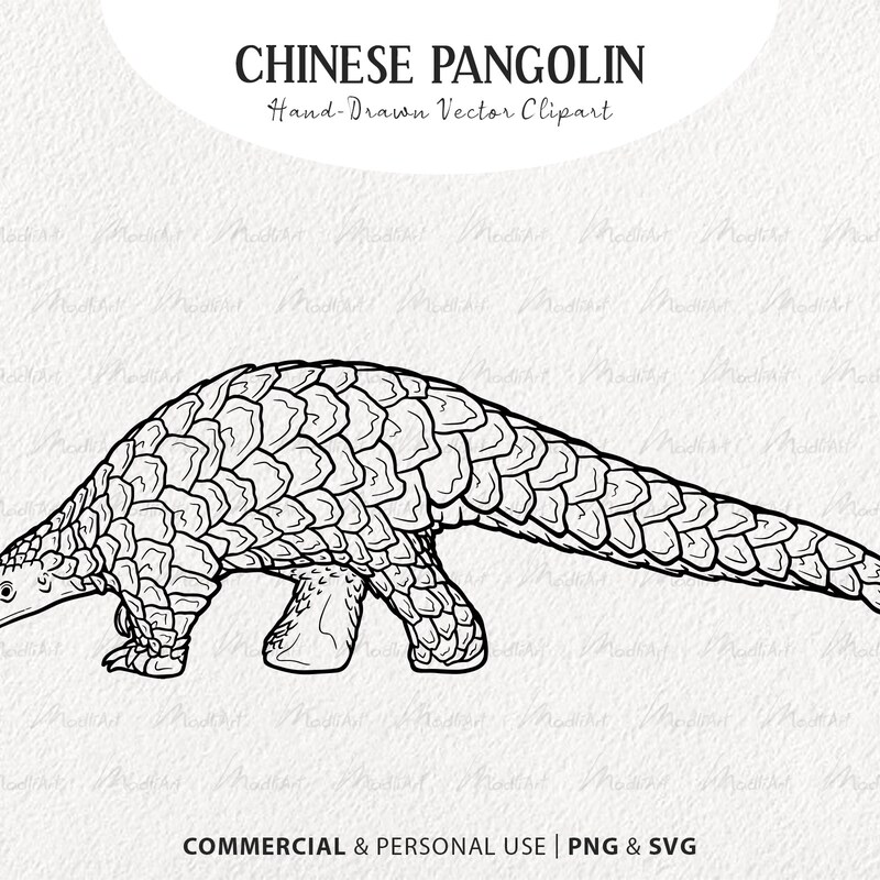 Pangolin Posters - Etsy UK