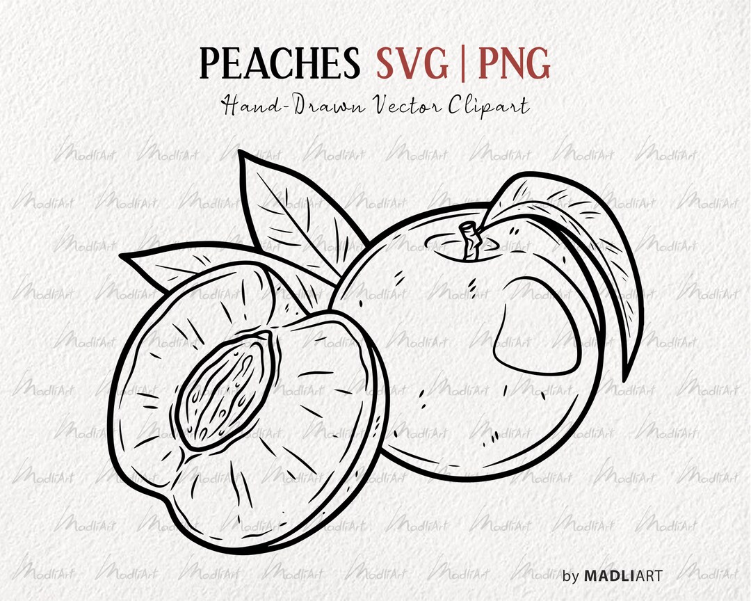 Peach SVG Clipart. Vector Peach Drawing. Peach Fruit, Leaves Line ...
