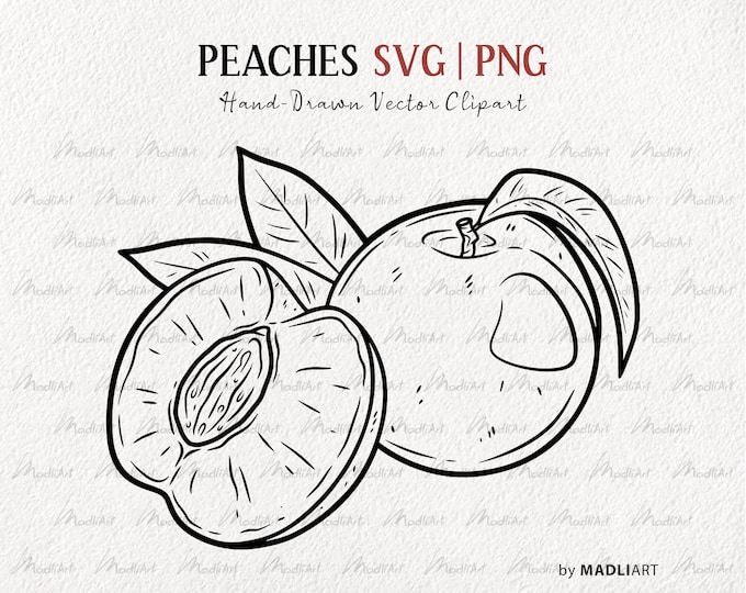 Peach Vector Clipart / Outline & Stamp Drawing Graphic / Fruit and Food ...