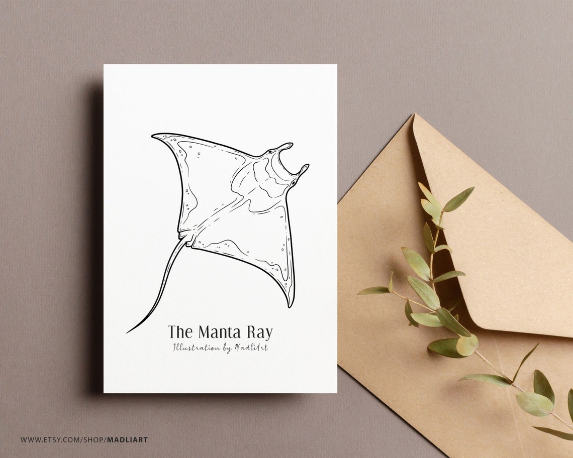 Ray Fish Clipart Bundle. Sea Creature Vector Line Art. Ocean - Etsy