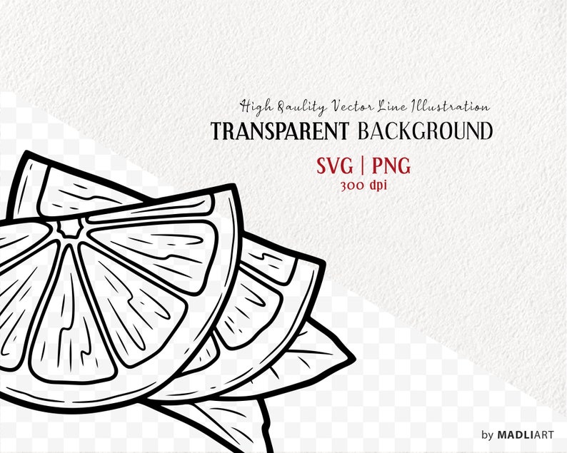 Lemon SVG Clipart. Vector Lemon. Lemon Tree Fruits. Citrus - Etsy