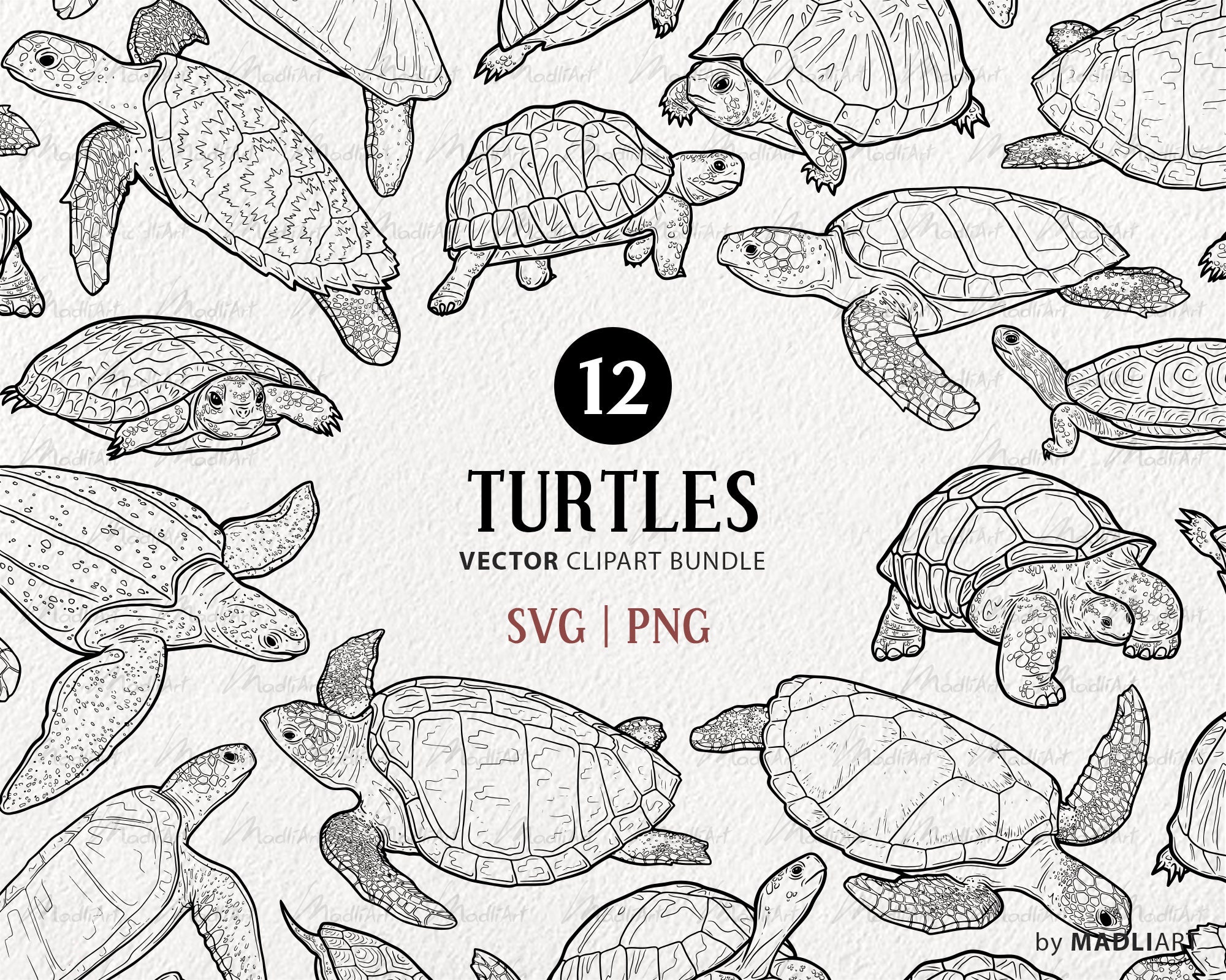 12 Turtles SVG Clipart Bundle. Sea Turtle & Land Tortoise Vector ...