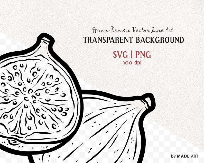 Fig SVG Clipart. 3 Fig Vector Line Drawings. Tropical Fruit Outline ...