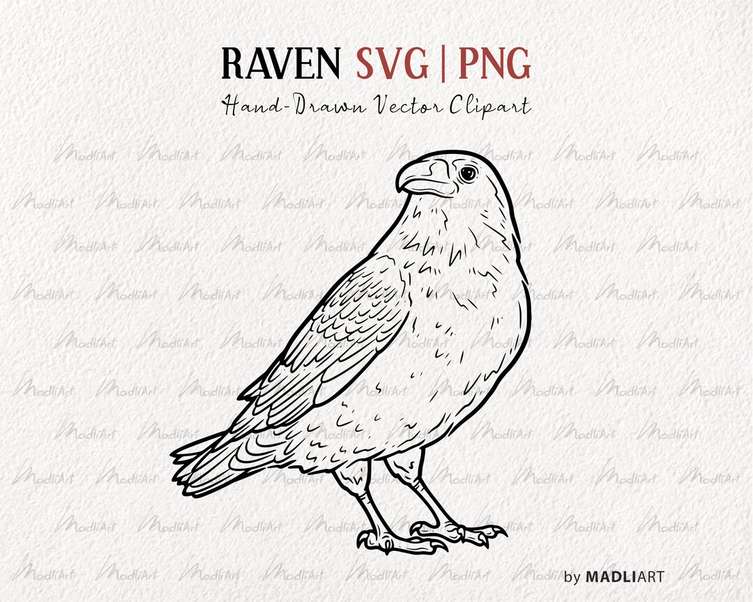 Raven SVG Clipart. Crow Vector Line Drawing. Halloween Crow Clipart ...