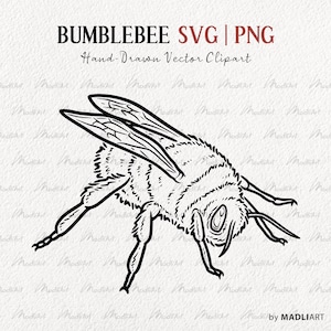 Bee SVG Clipart. Bumblebee Svg Outline Stamp. Honey Bee Vector Line Art ...