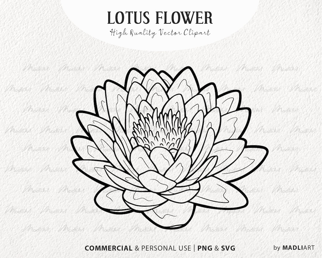 Lotus Flower SVG Clipart. Water Lily Vector Line Drawing. Celestial ...