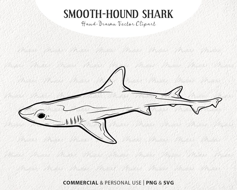 Smooth-hound Shark SVG Clipart. Shark Vector Line Drawing. Ocean Animal ...