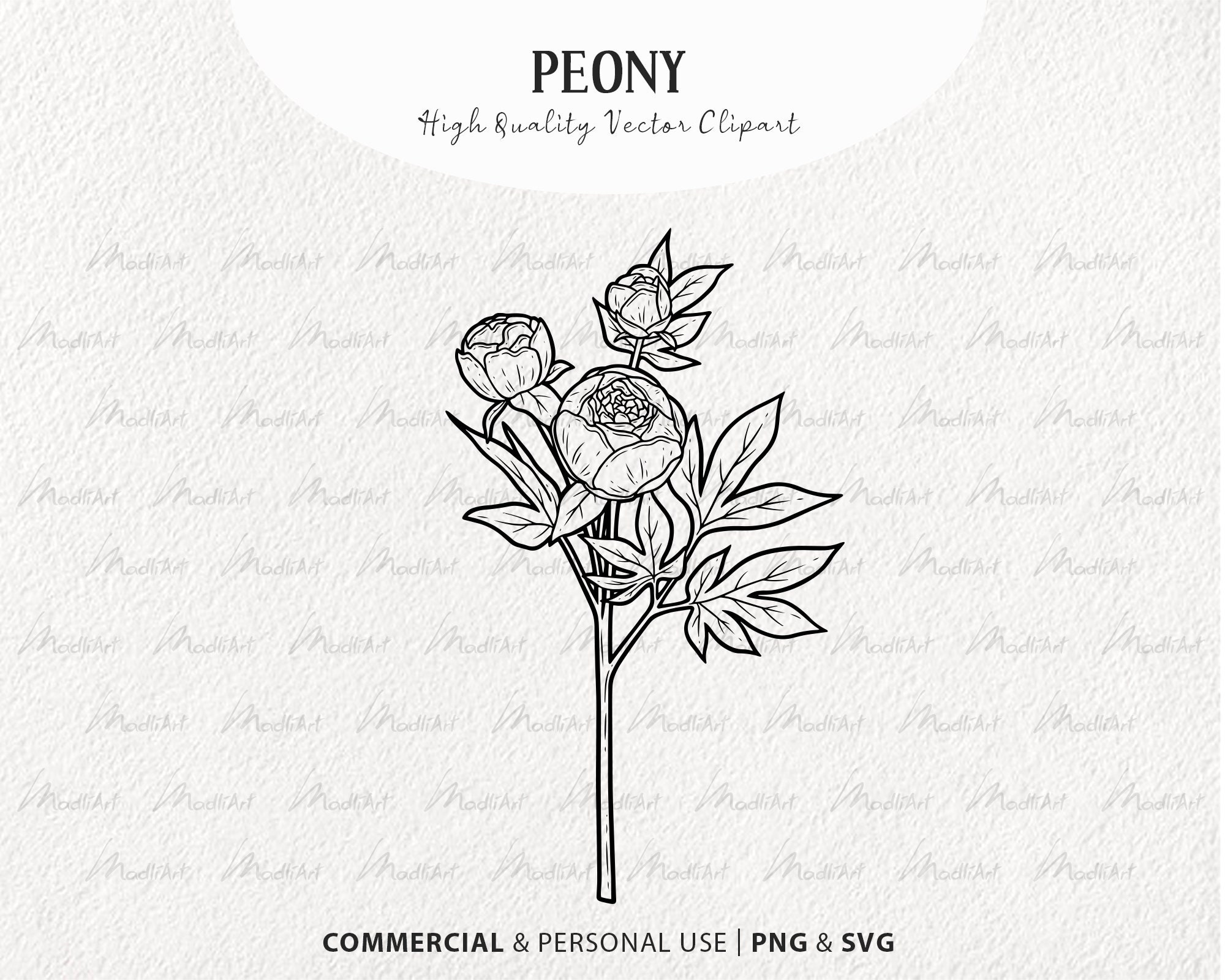 Peony Flower Outline