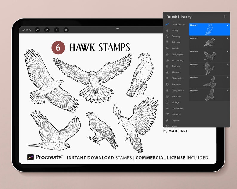 6 Procreate Hawk Stamps. Hawk Svg Tattoo Design. Bird of Prey - Etsy