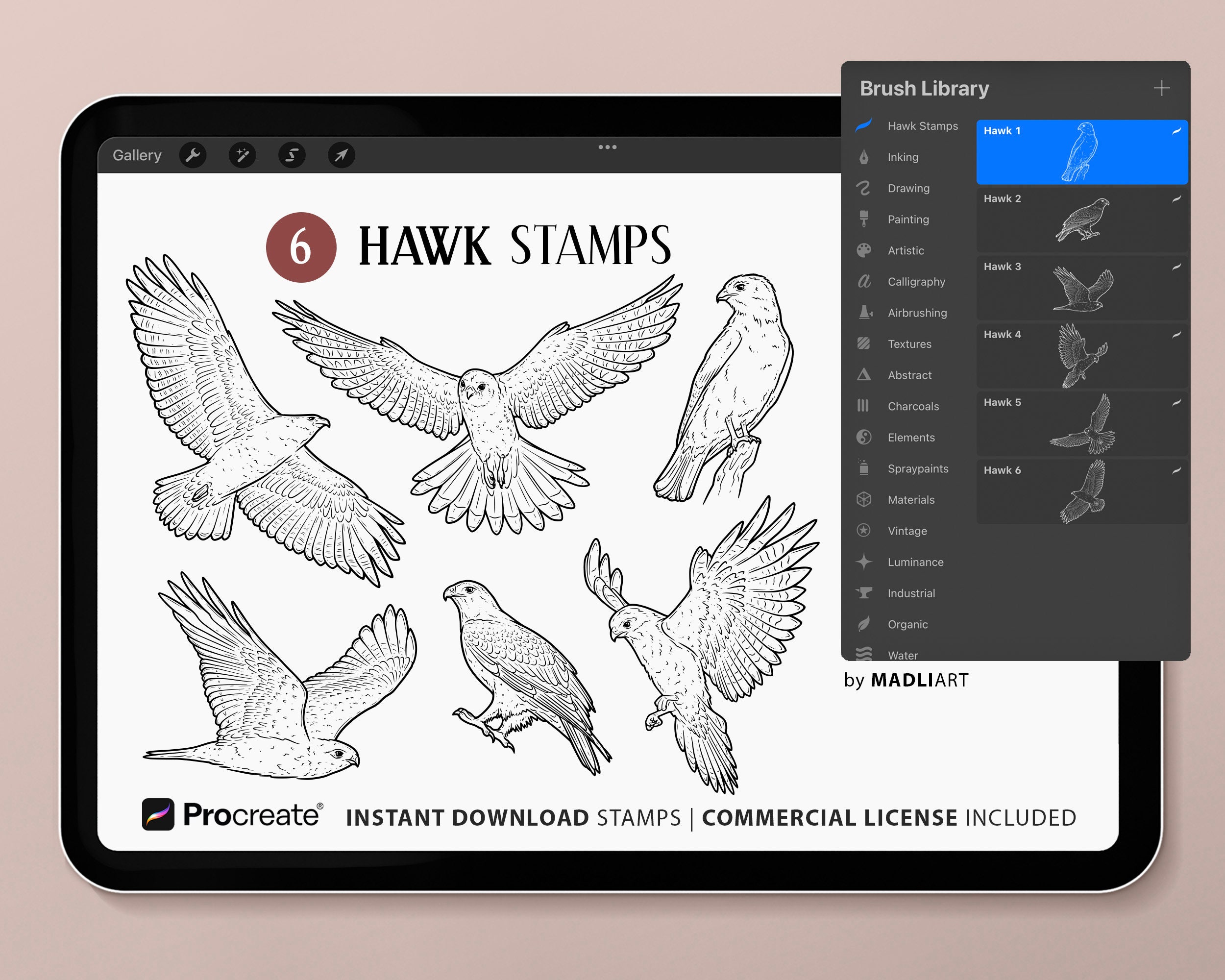 6 Procreate Hawk Stamps. Hawk Svg Tattoo Design. Bird of Prey - Etsy