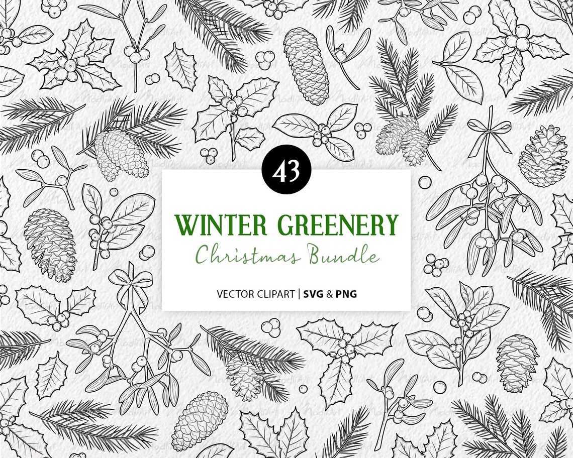 43 Winter Greenery Vector Clipart Bundle. Christmas Evergreen - Etsy