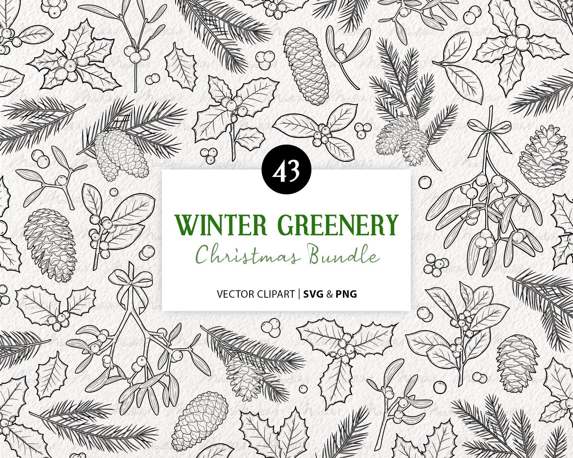 43 Winter Greenery Vector Clipart Bundle. Christmas Evergreen - Etsy