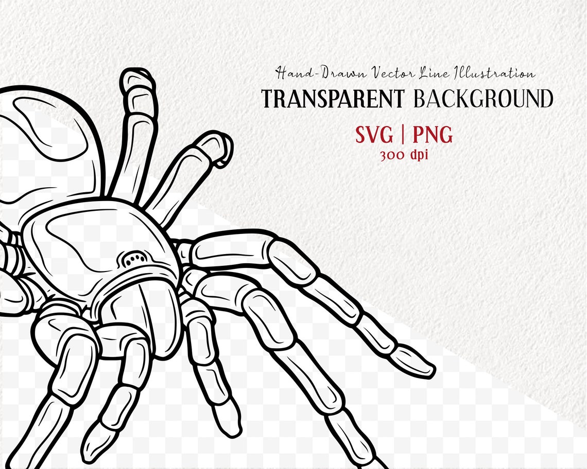 Tarantula Spider Vector Clip Art. Digital Printable Insect - Etsy