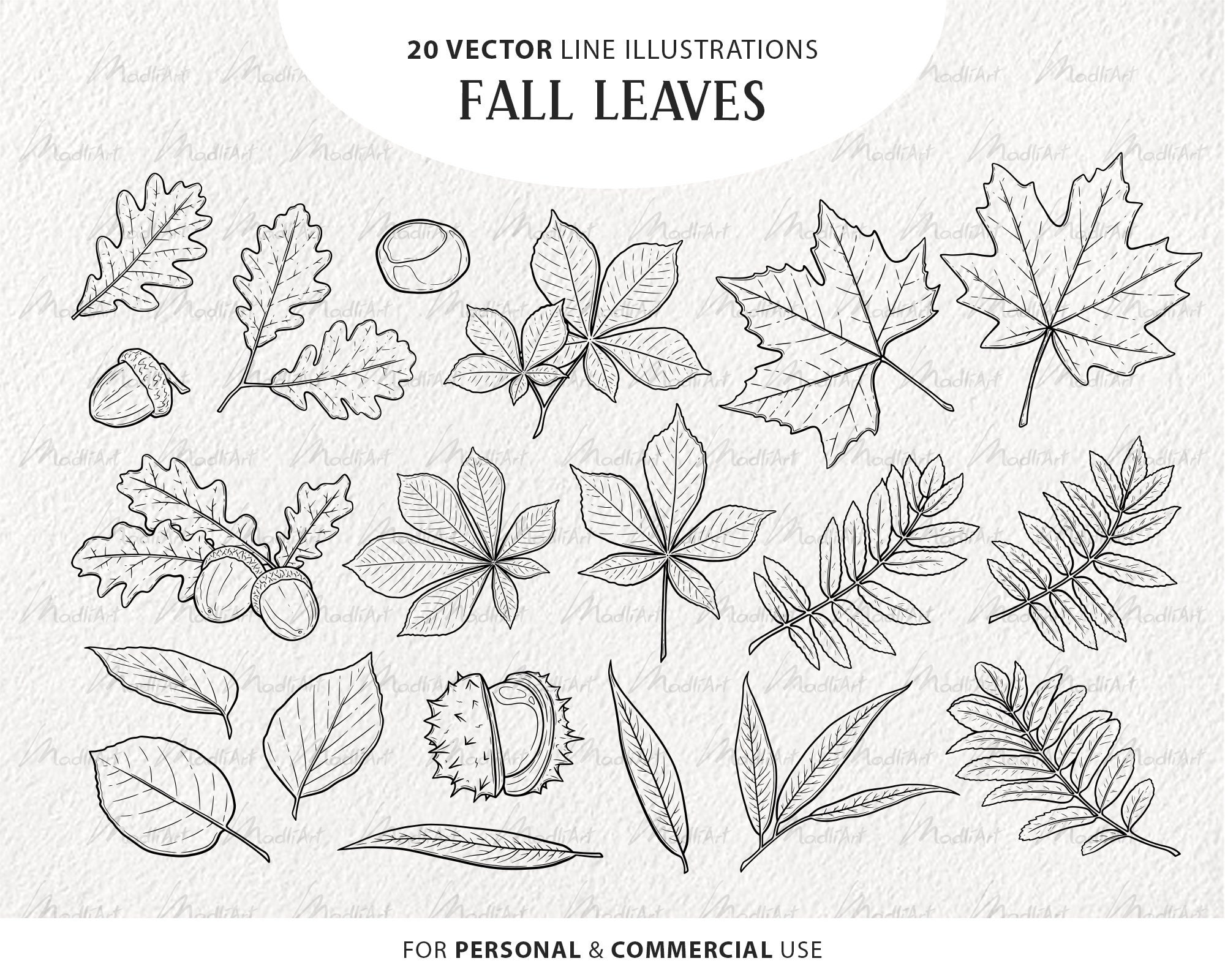 Fall Leaves SVG Clipart Bundle. 20 Vector Autumn Outlines. - Etsy