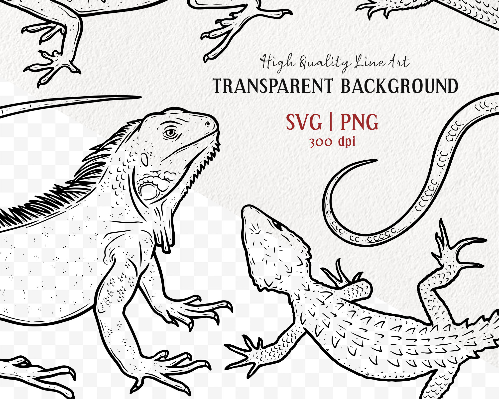 10 Lizard SVG Clipart Bundle. Reptile Vector Drawings. - Etsy