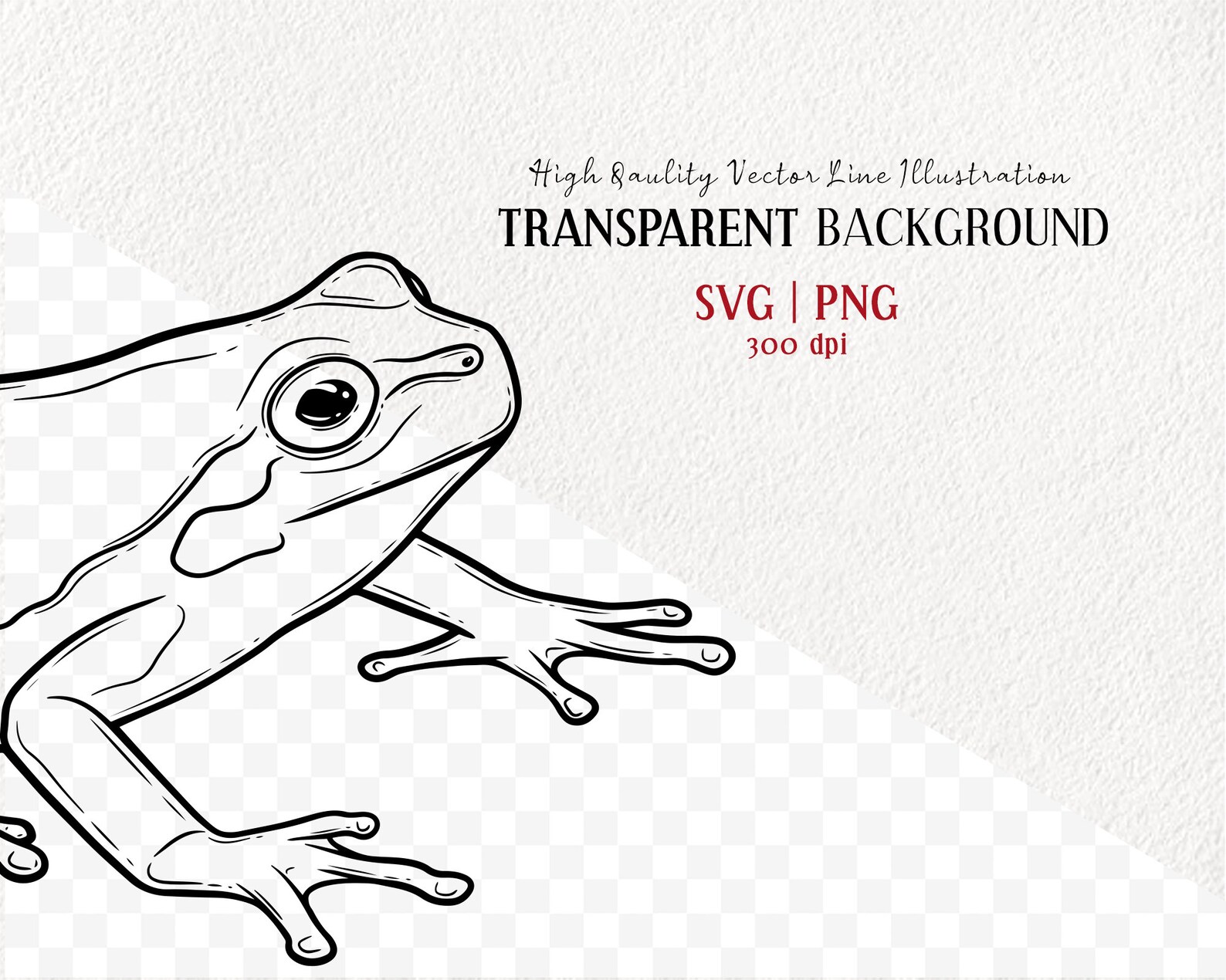 Tree Frog SVG Clipart. Frog Vector Drawing. Green, White and Red-eyed ...